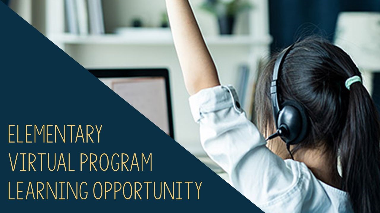 Elementary Virtual Program Learning Opportunity