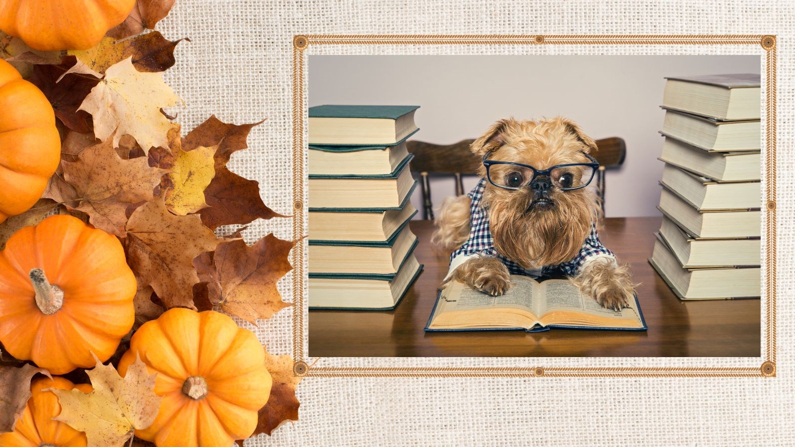 Fall Literacy Night