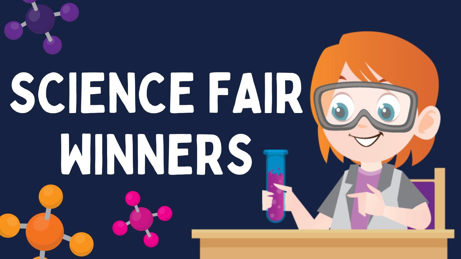 SFES Science Fair Winners