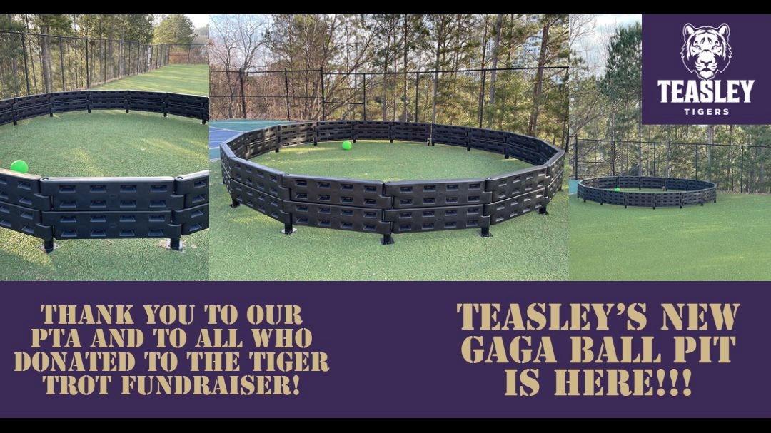 BIG Thanks to Teasley's PTA and all who donated to the Tiger Trot!