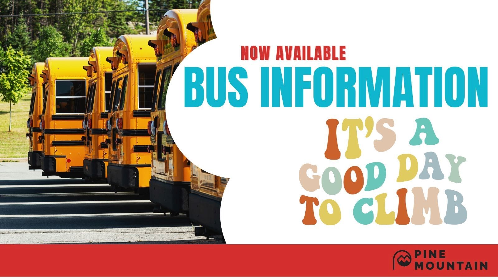 Bus Information