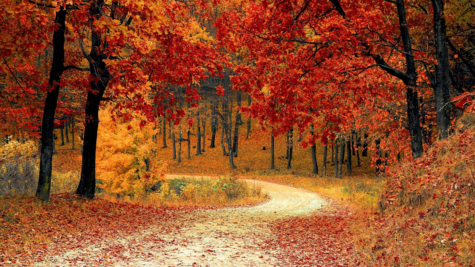 Adult Education Fall Break: 9/23 - 10/4 - Classes Resume 10/