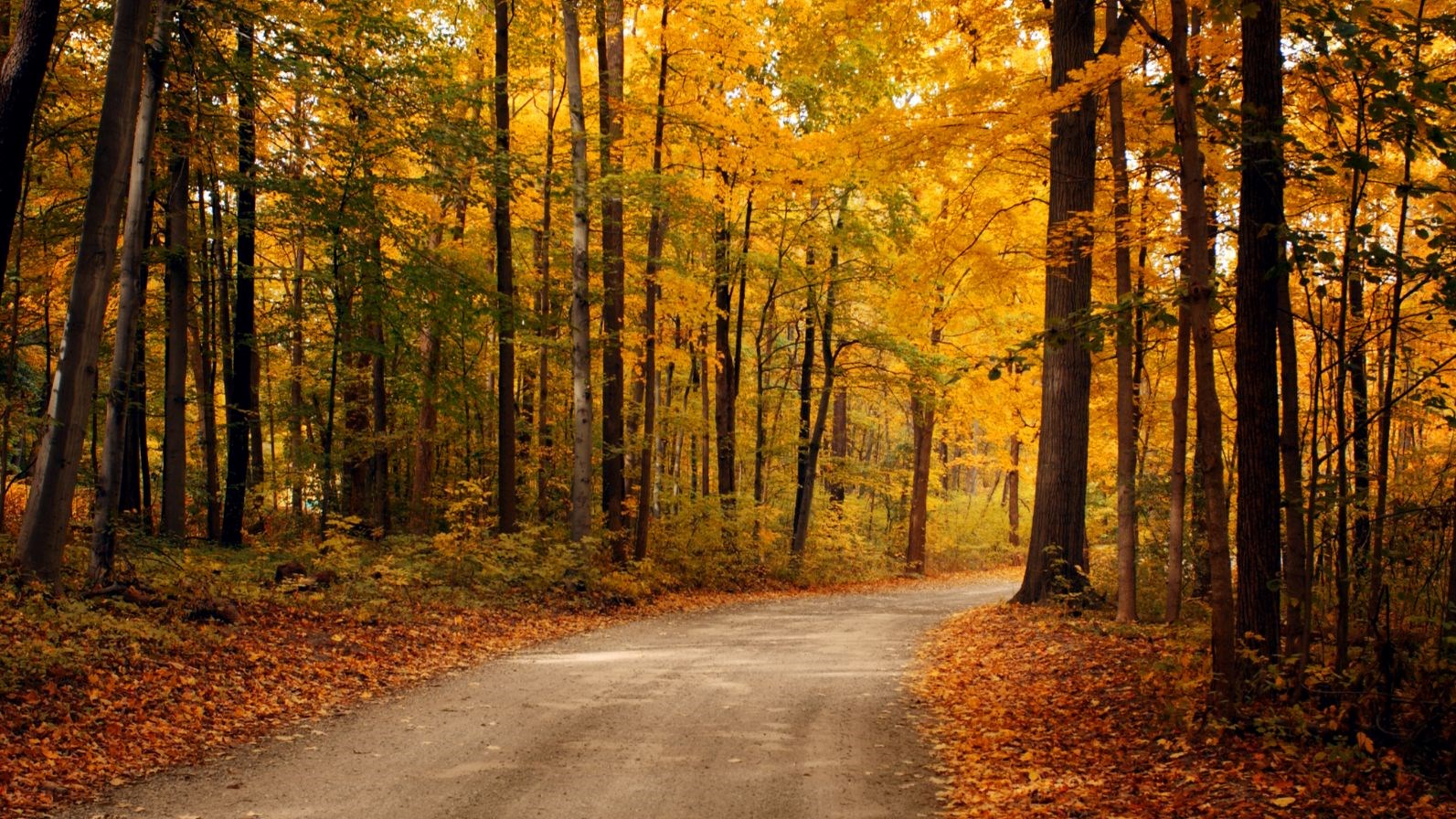 Making the Most of Fall Break