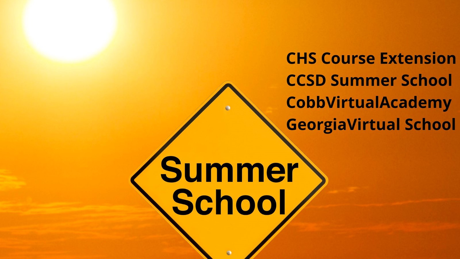 Summer School / Course Options